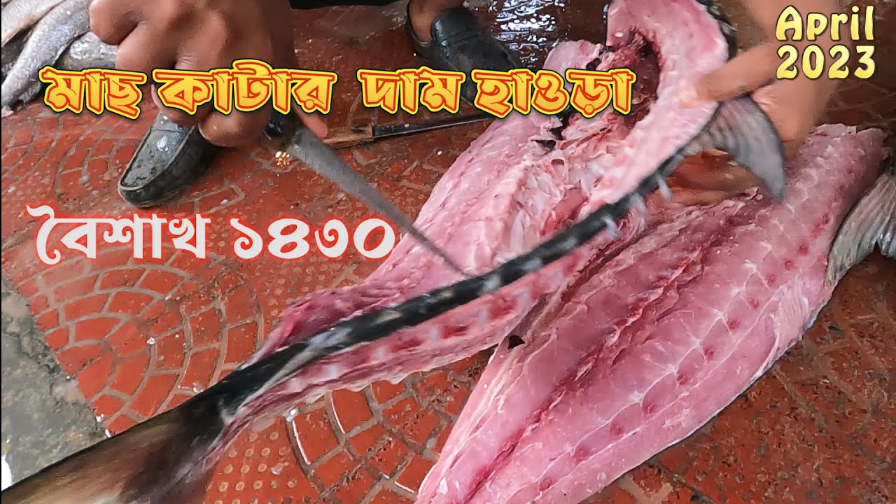 হাওড়া মাছের বাজারে মাছ কাটার দাম || howrah fish market || kolkata mach ...