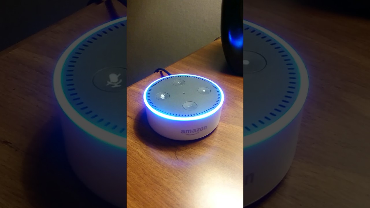 Alexa Translator - YouTube