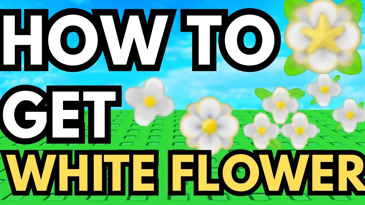 How To Get White Flowers In Bee Swarm Simulator On Roblox - YouTube