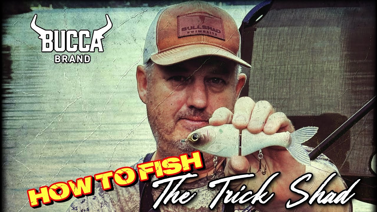 HOW TO FISH The New ABS Trick Shad!! - YouTube