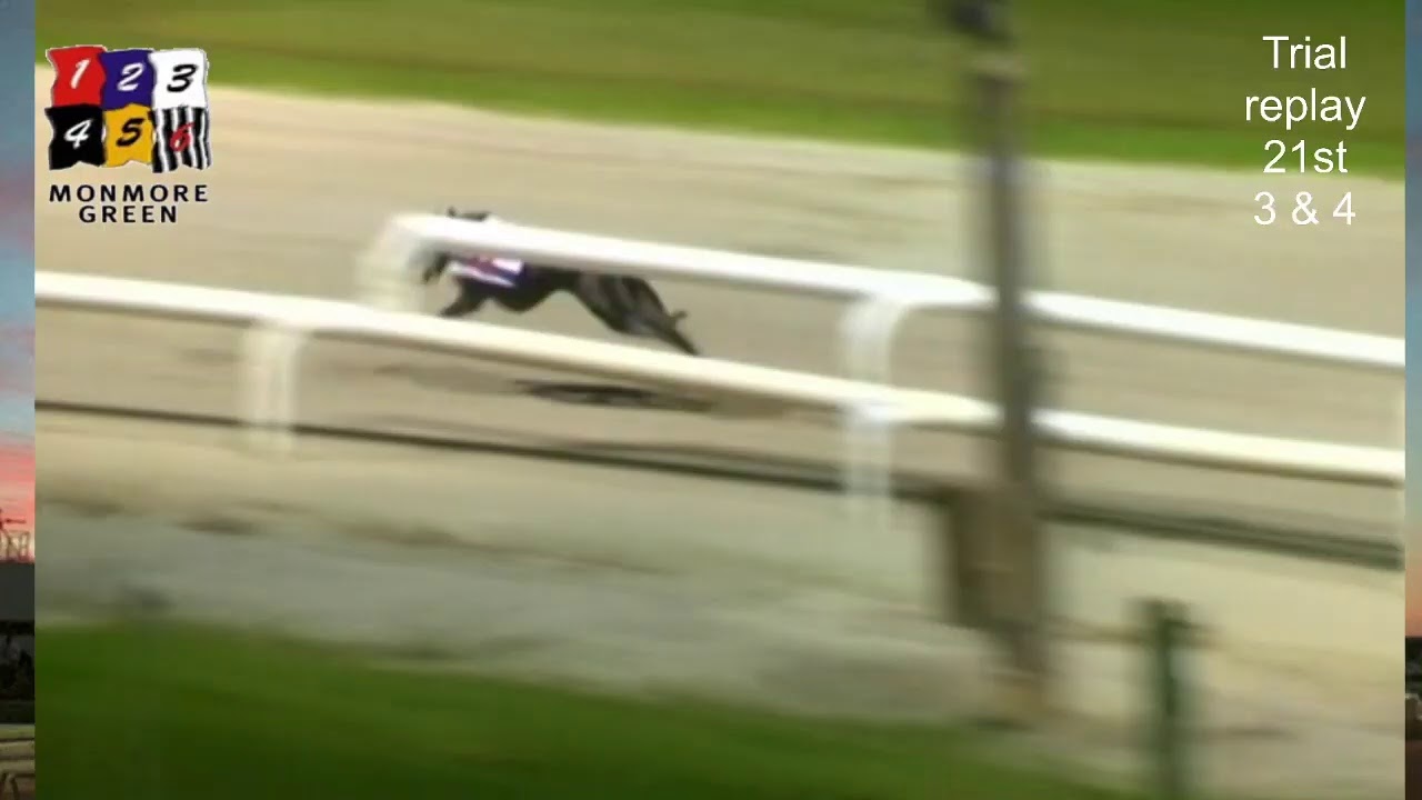 Monmore Green Stadium Greyhound Trials 22/01/21 - YouTube