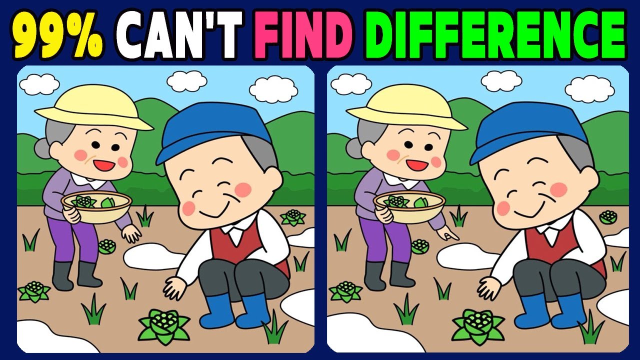 Find the Difference: Find 3 Differences In 90 Seconds 【Spot the ...