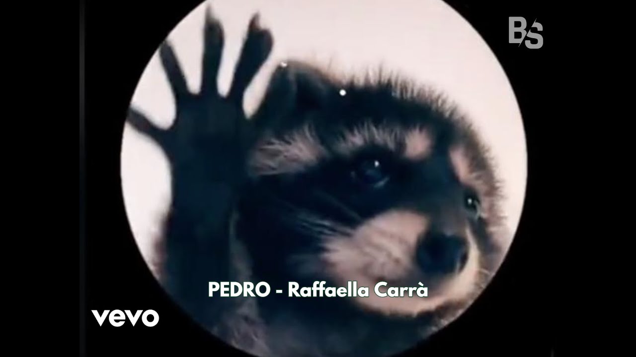 La canción de pedro🦝 - [PEDRO - Raffaella Carrà Remix ] - YouTube