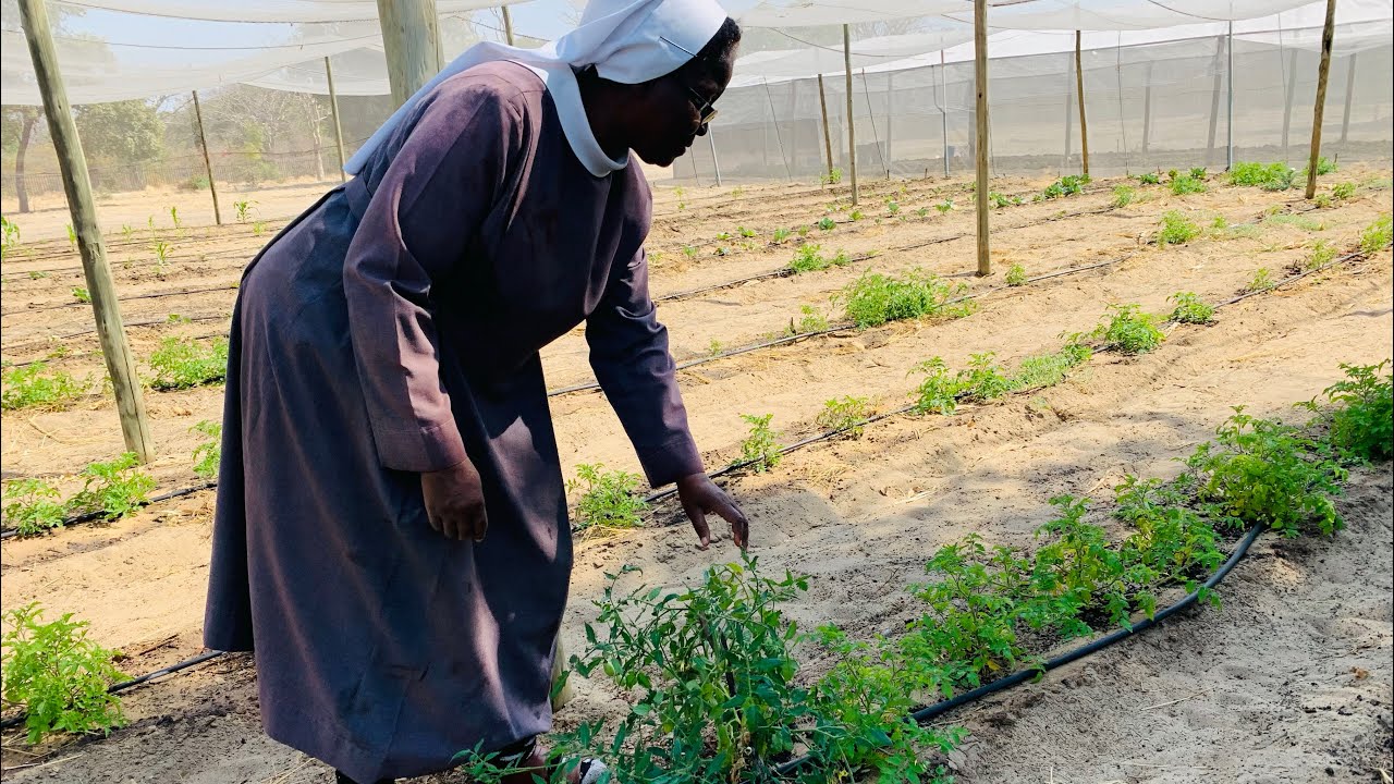 A Catholic nun ventures into horticulture #namibia #agriculture - YouTube