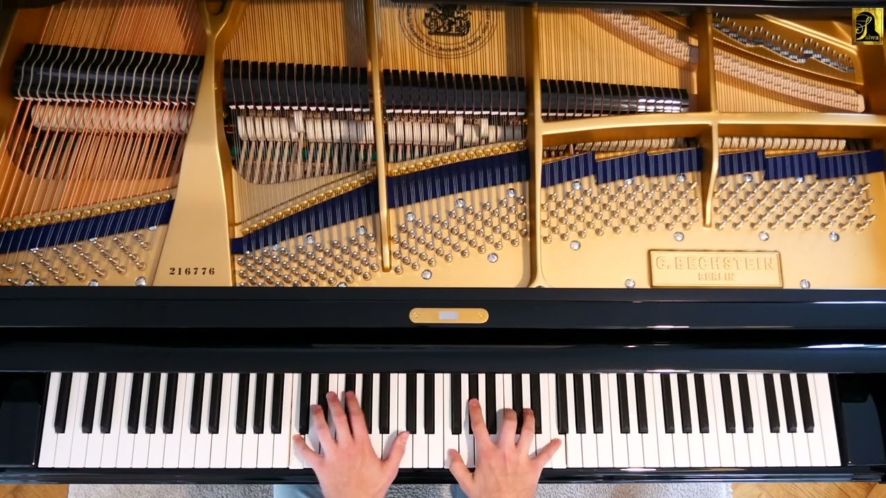 Mignon Schumann Op.68 Nr.35 C.Bechstein A228 - YouTube