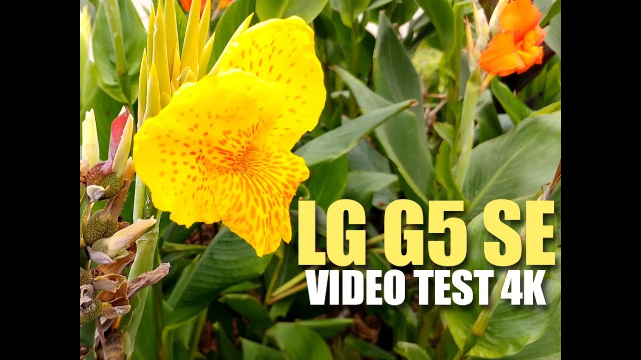 Test video 4K LG G5 SE
