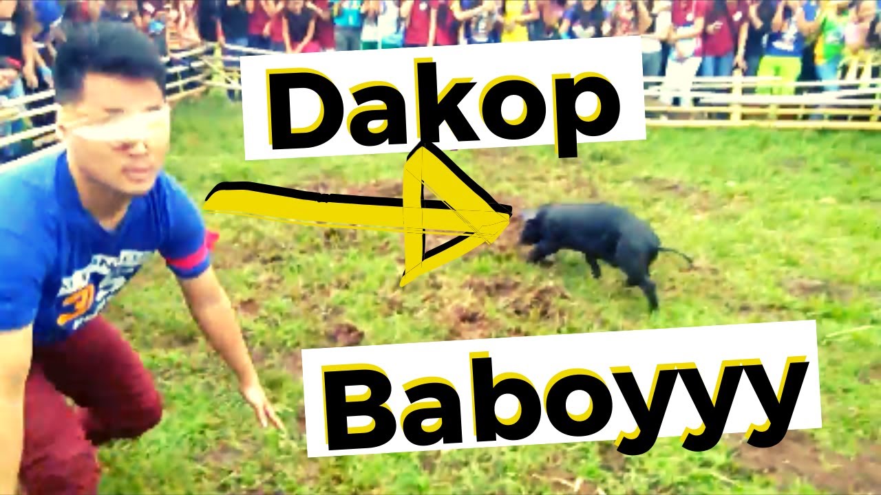How "Pig Catching" Is Played in the Philippines (Dakop Baboy) | A ...