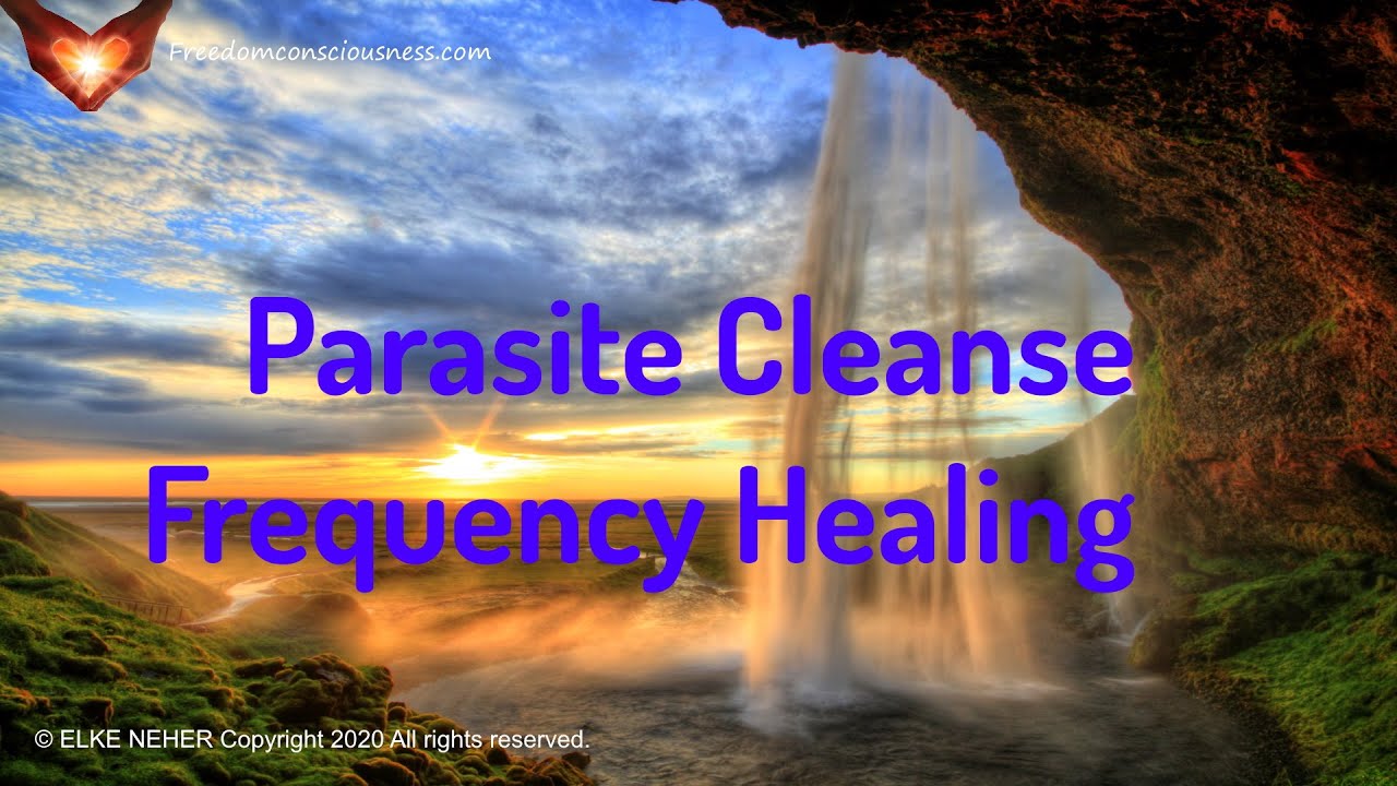 Parasite Cleanse V2 Frequency Healing - Get Rid Of Nasty Worms, Flukes ...