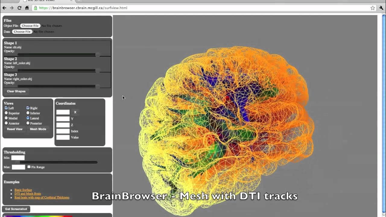 BrainBrowser - YouTube