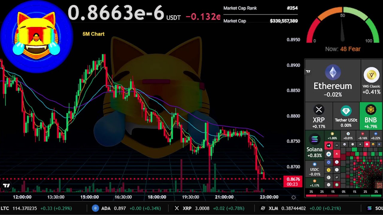 $MOG | 24/7 Live Stream | MOG USDT Signals & Charts | Meme Coin Hype ...