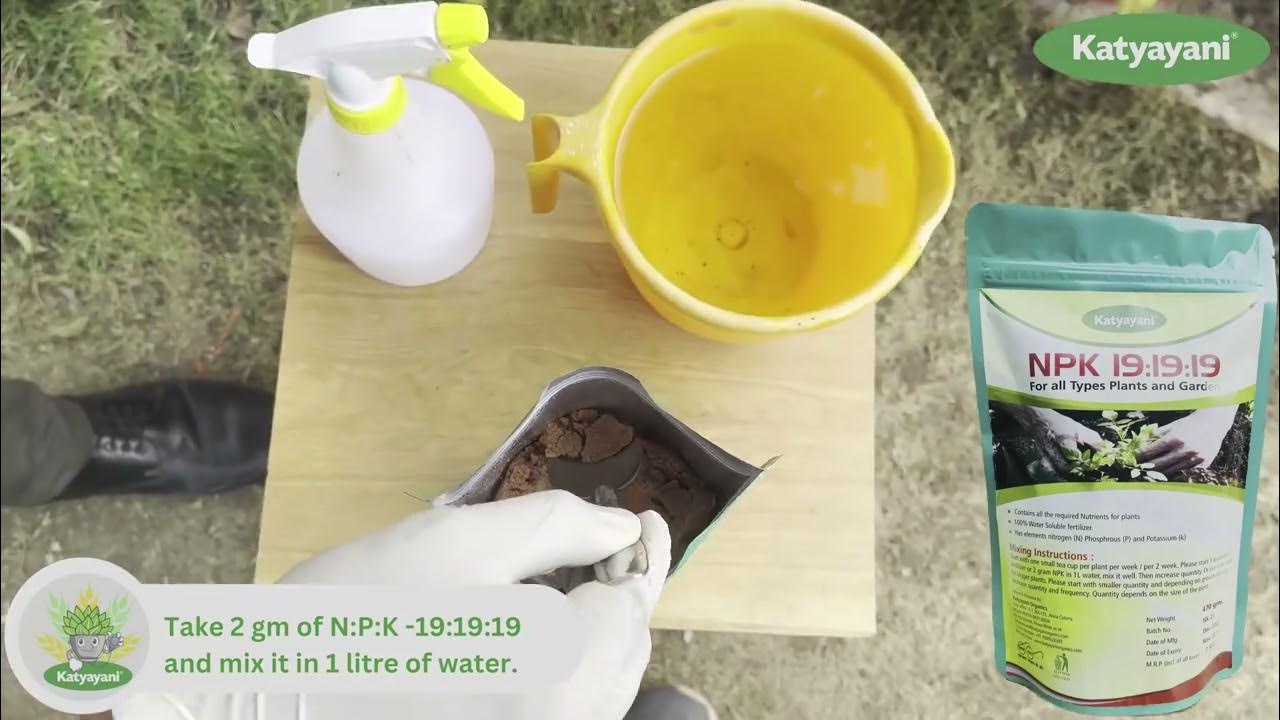 How to Use Katyayani NPK 19:19:19 || Organic Farming || Agriculture #fyp #NPK #Organic # ...