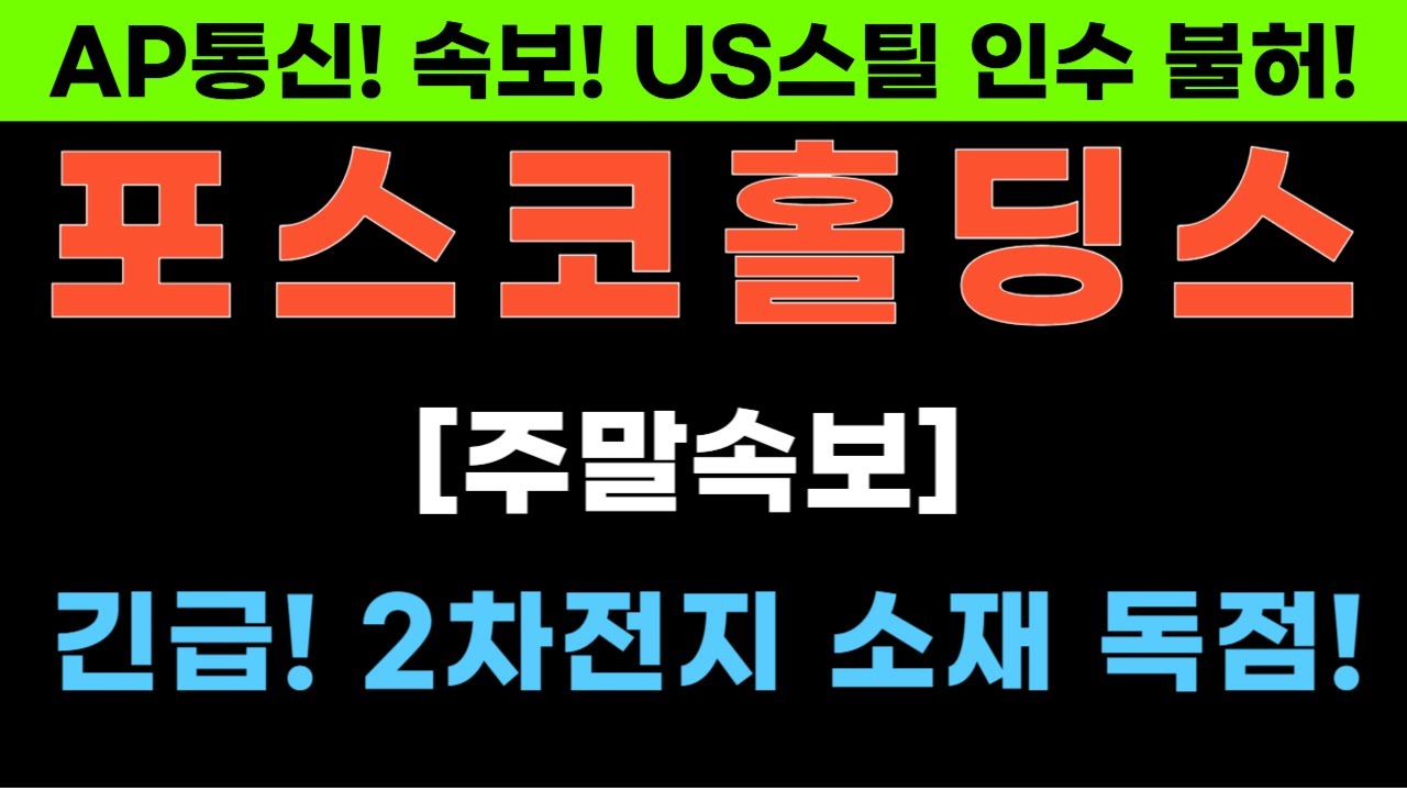 포스코홀딩스 세계최고의 기업이 될겁니다장기투자하세요 100배 수익납니다 포스코홀딩스 주가전망 양극재 에코프로