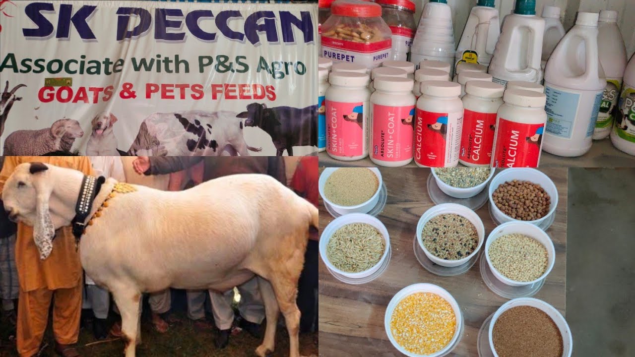 best goat feed shop in Hyderabad | p&s agro starter mini starter wait ...