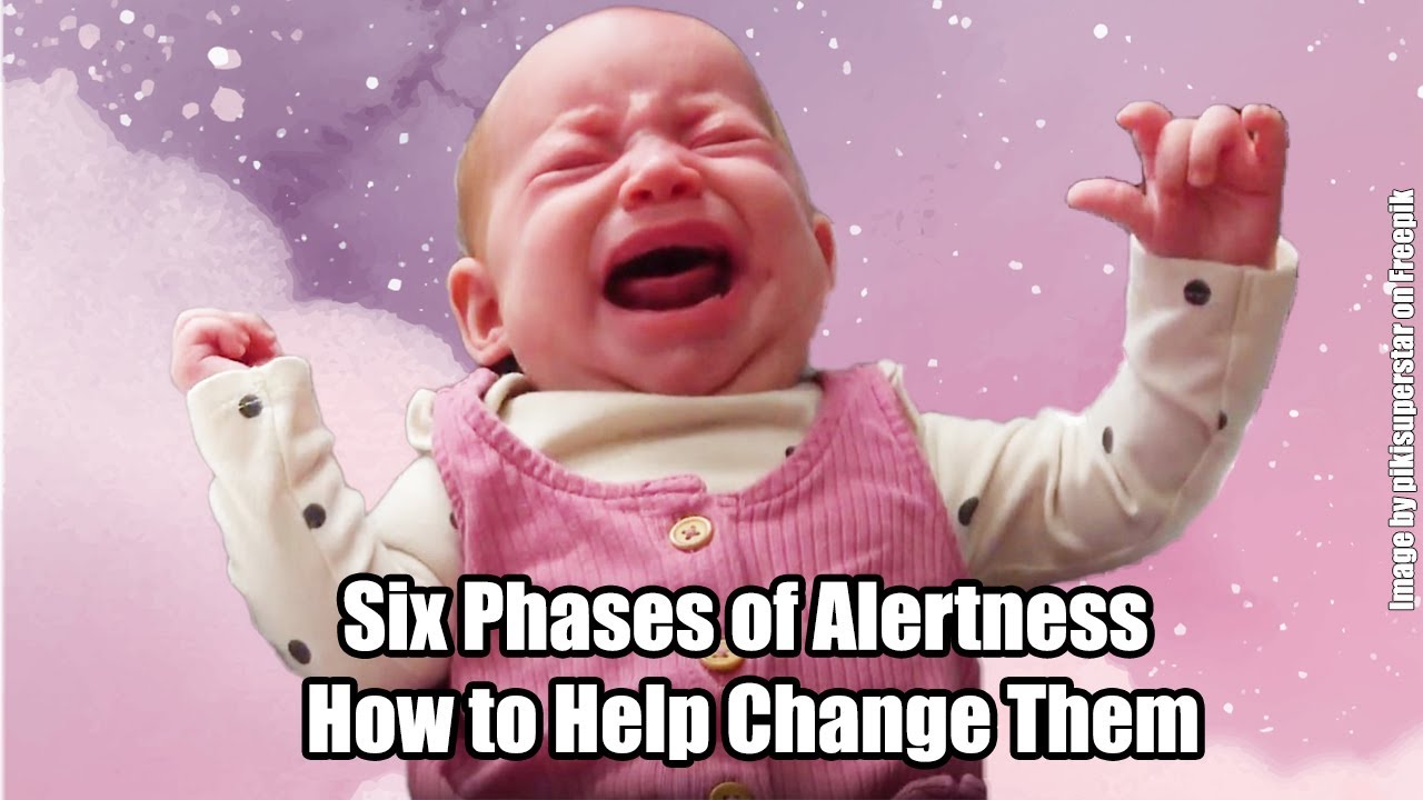 #3 Critical to KNOW--6 Phases of Alertness in Babies and How to Help ...