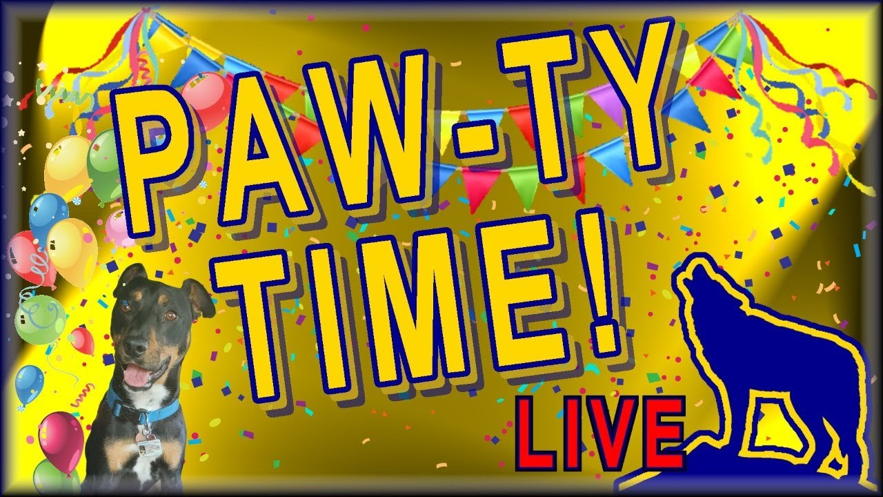 PAW-TY TIME!!! #Monetization - YouTube