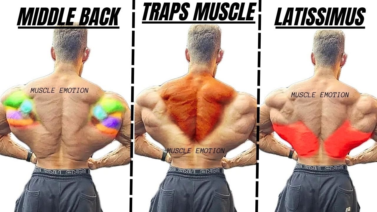 TOP 5 LAT MIDDLE BACK TRAPS WORKOUT WITH DUMBBELLS CABLE AND MACHINE AT ...