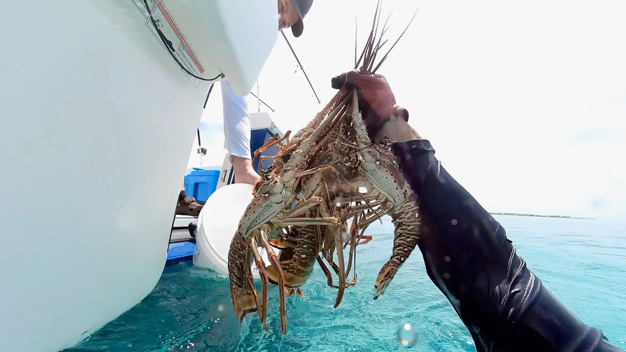 Labor Day Lobster Fest West End Bahamas - YouTube