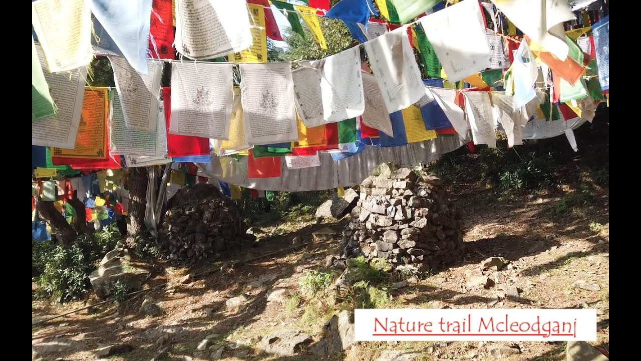 Himachal vlog part 7| Nature trail Naddi to Gallu devi temple via ...