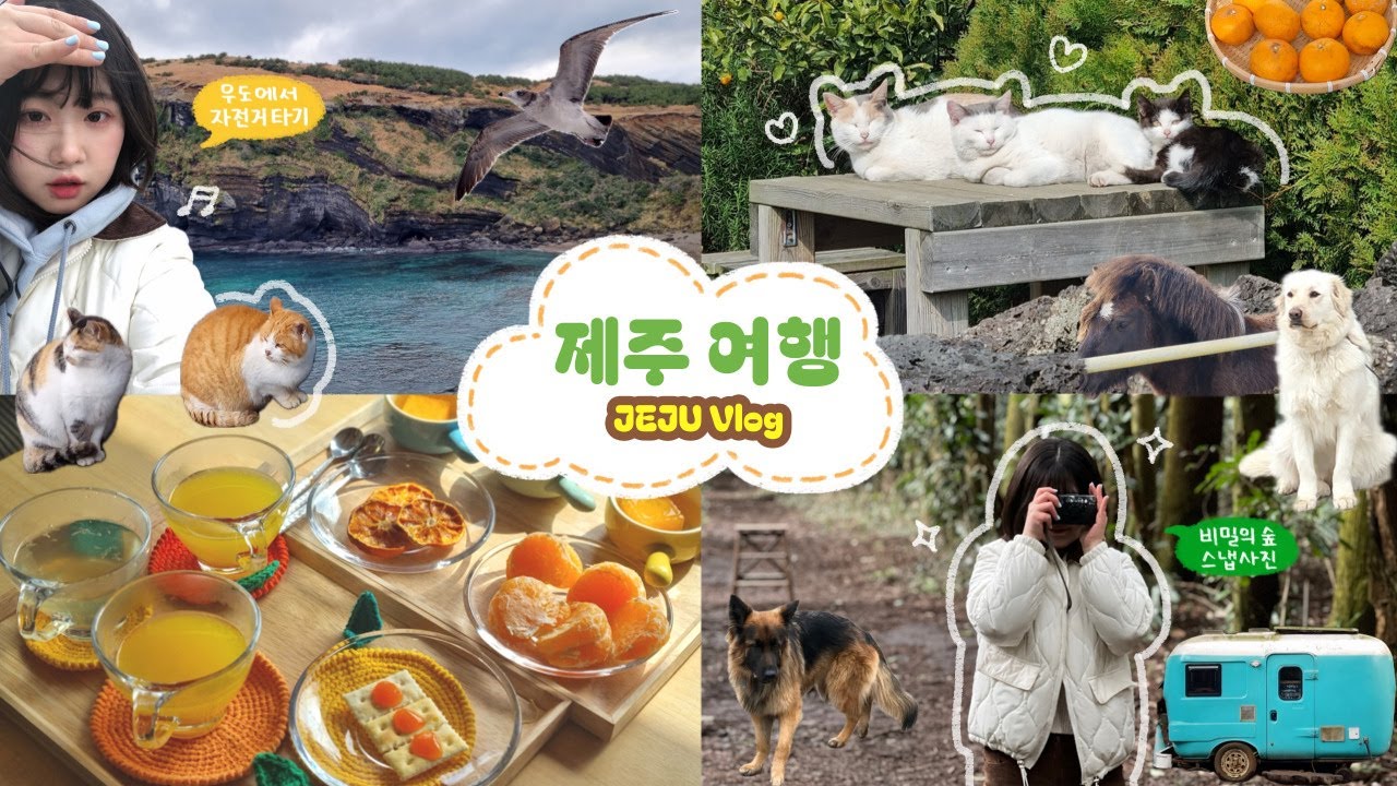 Vlog ๐คธโโ๏ธํด์ฌ ํ ๋๋ฒ
์ด ํผ์ 4๋ฐ 5์ผ ์ ์ฃผ ์ฌํ๐ ํจ๋ ์ ์ ์์ ๋ฆฌ ์ฐ๋ ์ฌ๋ฆ๋ฌธ๊ตฌ์ฌ ๋น์๋ฆผ ๋น๋ฐ์์ฒ ์ข
๋ฌ๋ฆฌ๋ง์ ์์ผ๋ฆฐ๊ฒ์คํธํ์ฐ์ค ์๋ญ ๋ฆฌ์ฝ