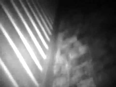 [Footage] "Rake Creature sighting" - YouTube