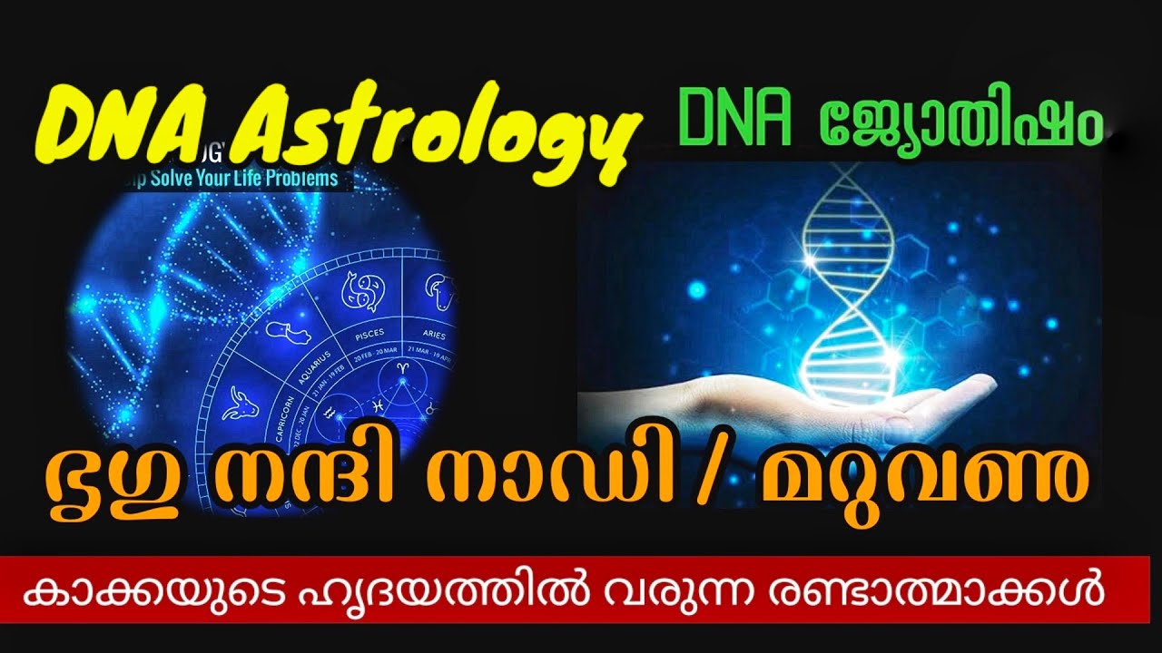 DNA Astrology l DNA ജ്യോതിഷം എന്താണ്? l ഭൃഗു നന്ദി നാഡി / മറുവണു l Ms ...