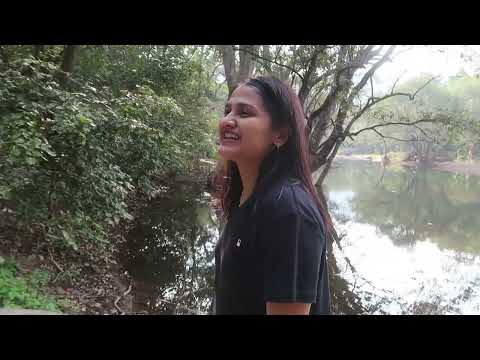 🌲 Polo Forest Himmatnagar 🐻 | All Information of Polo Forest with Guide ...