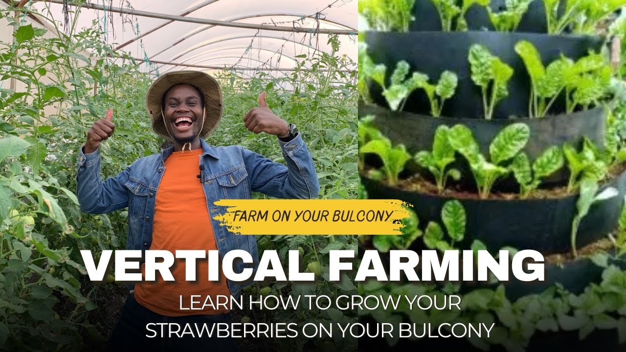 Vertical Strawberry Farming: Use of Multi-storey Gardening for Urban ...