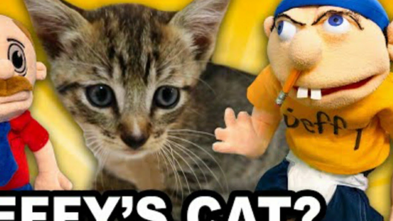 Sml Movie Jeffys Cat Youtube
