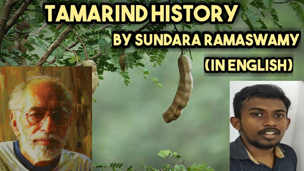 Tamarind History by Sundara Ramaswamy in English - YouTube
