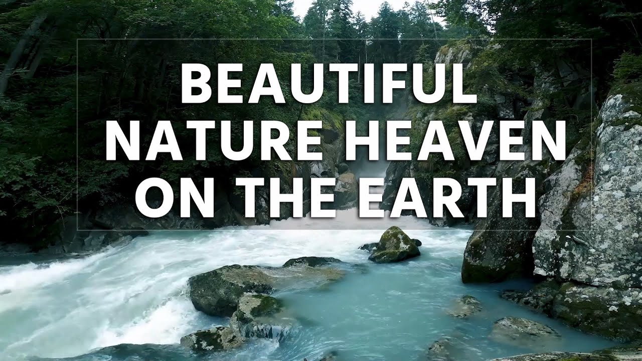 "LIVE Nature's Symphony: Tropical Forest Water fall | Beautiful Nature ...