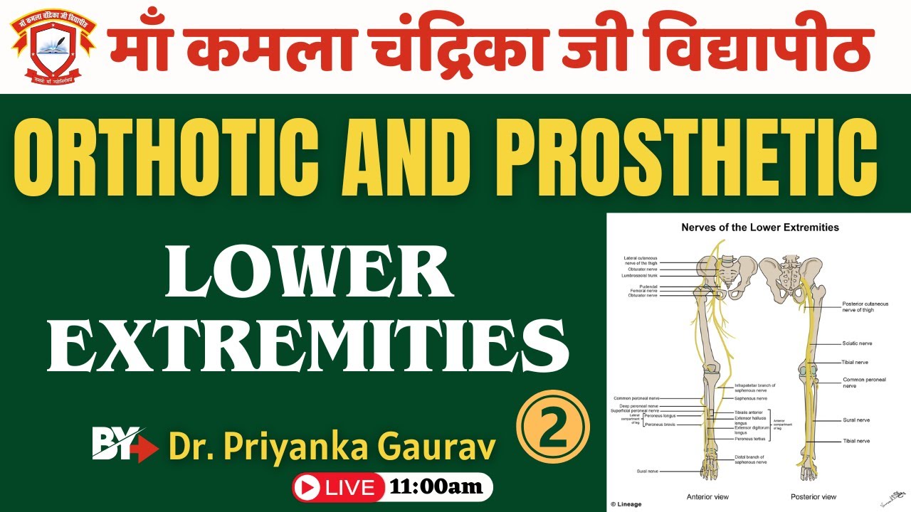 Orthotic and Prosthetic (Lower extremities)-2 By Dr. Priyanka Gaurav ...