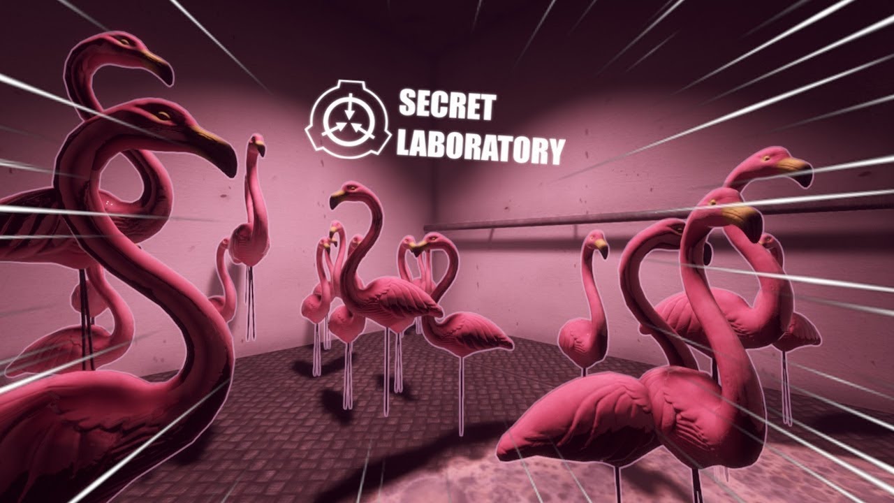The free Birds - Funny - (NTF did not win lol) | scp secret laboratory ...