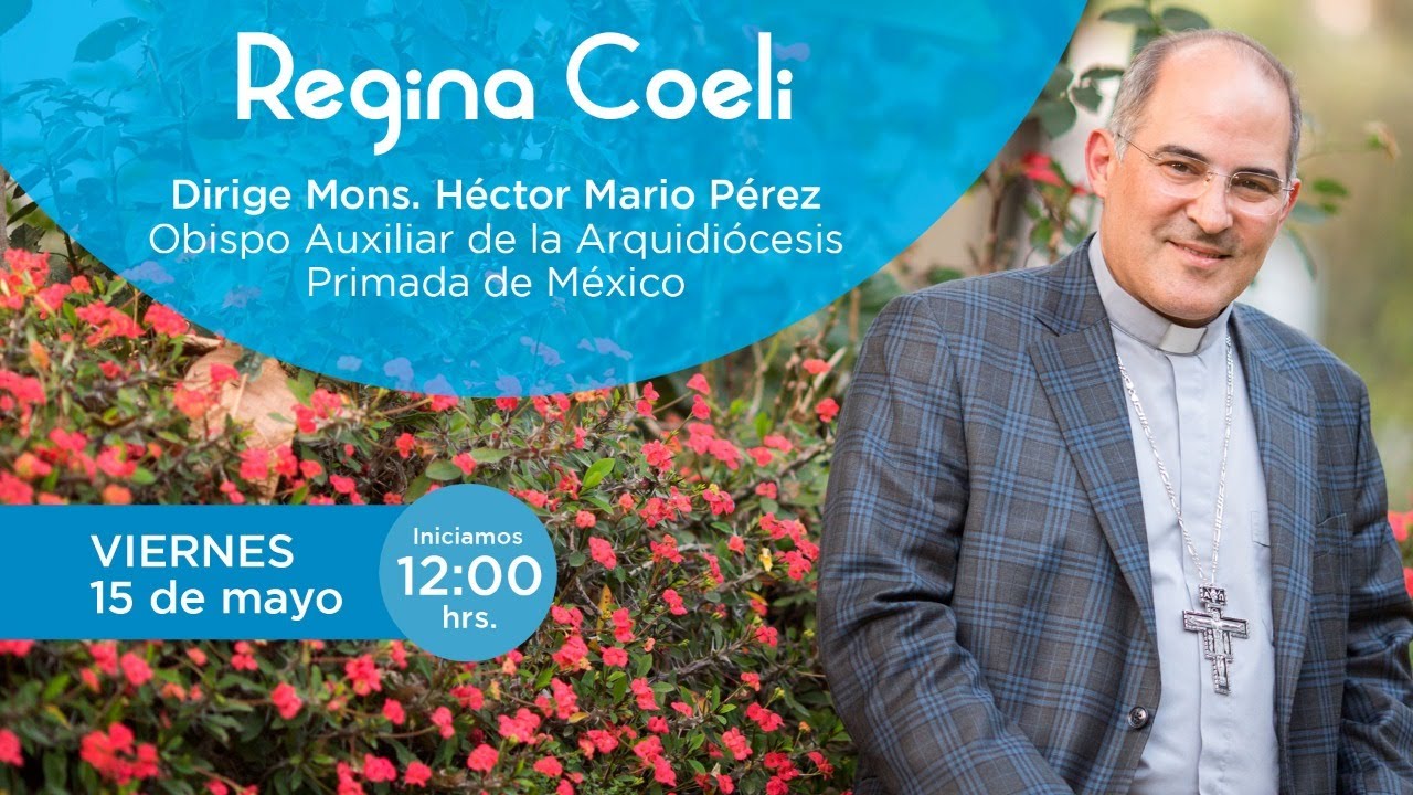 Regina Coeli, viernes 15/05/2020 - YouTube