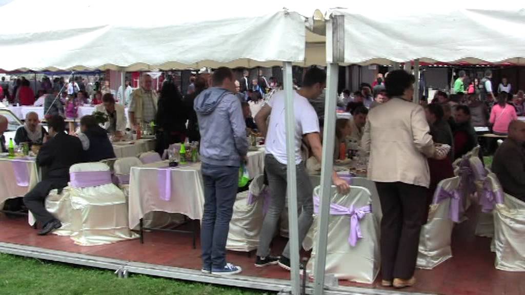 ZILELE COMUNEI TINCA 2011.mpg - YouTube