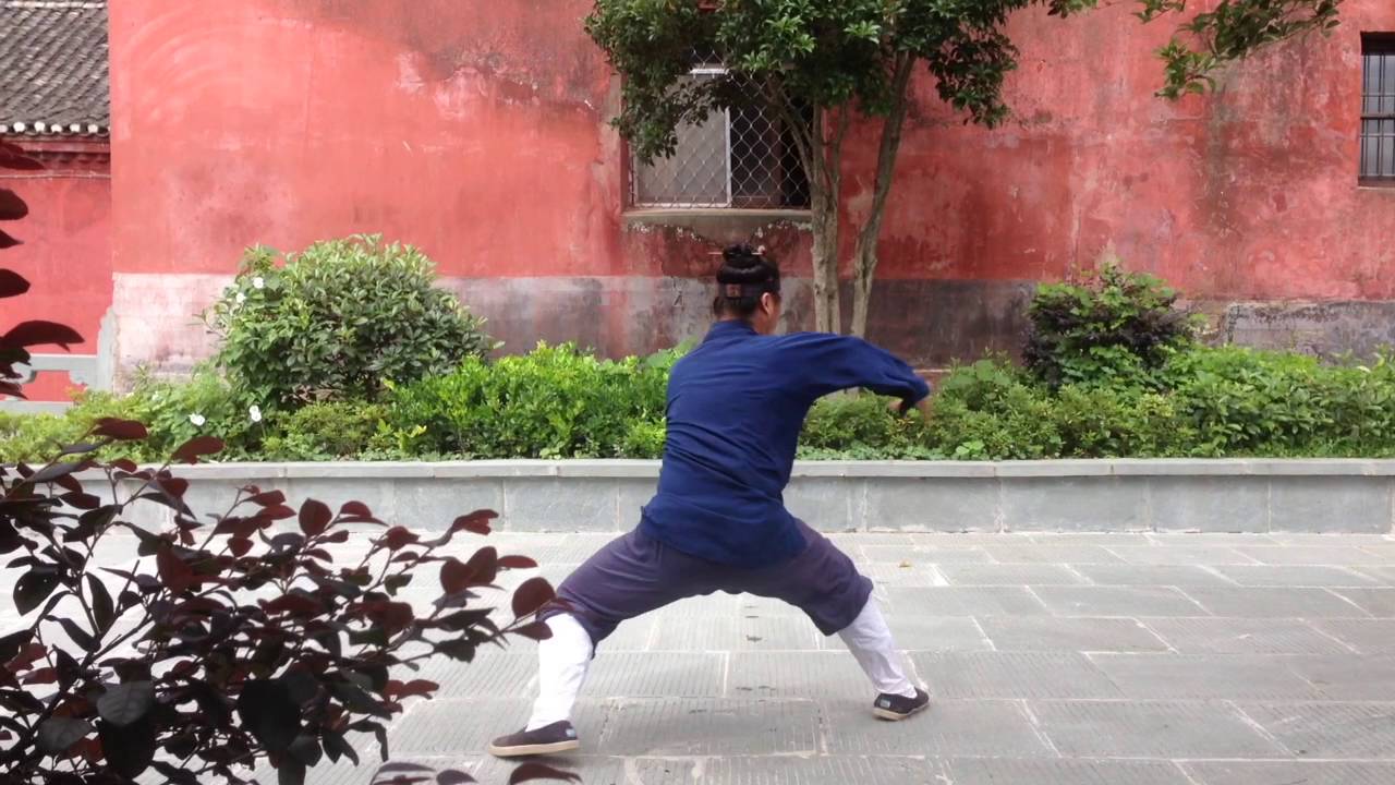 Wudang Xuan Wu Quan 2016 - YouTube