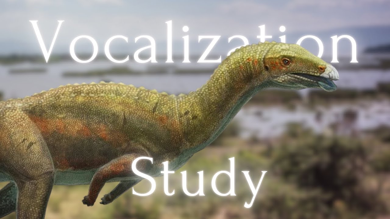 Crurotarsi Vocalization Study - YouTube