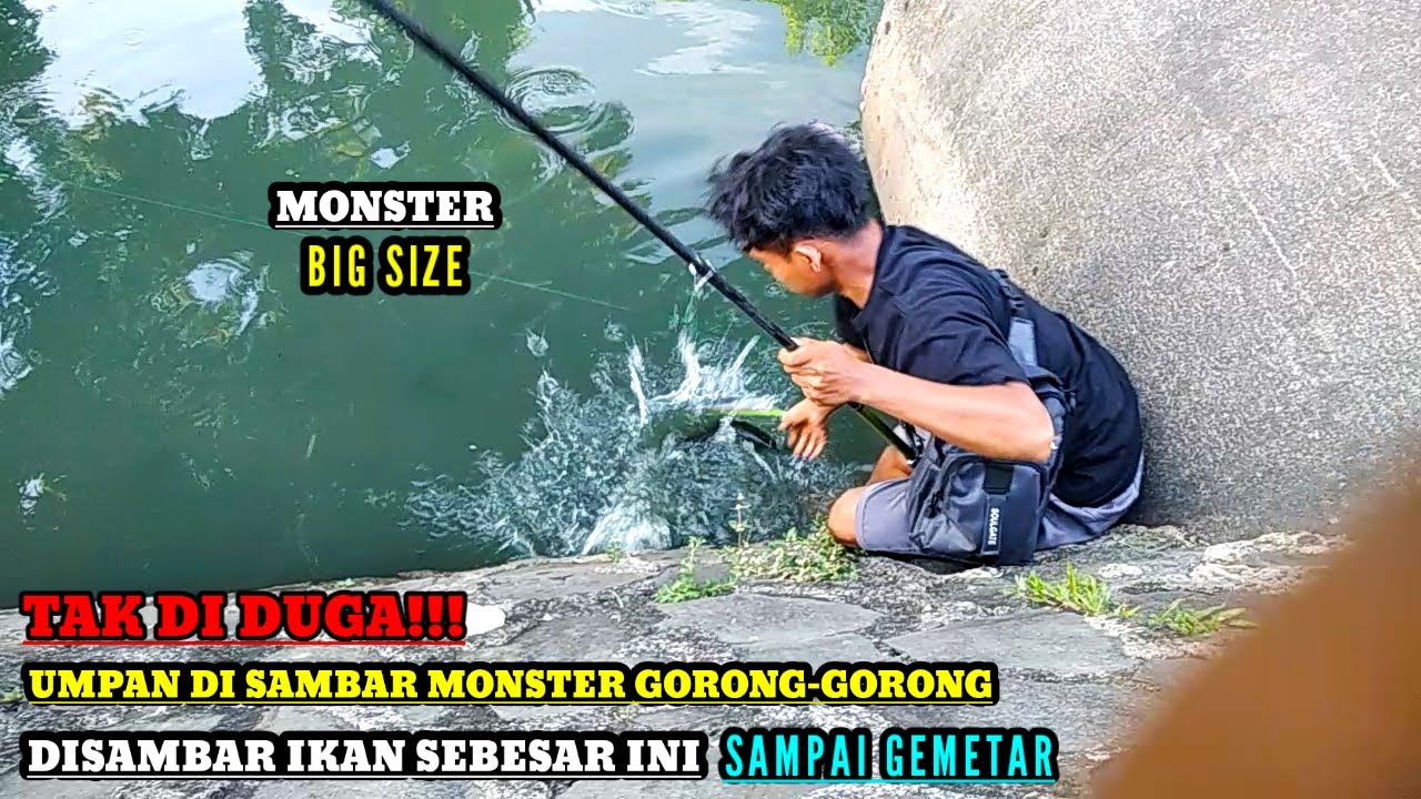 GEMETAR!! MANCING GABUS DI GORONG-GORONG TAK DI SANGKA DI SAMBAR IKAN ...