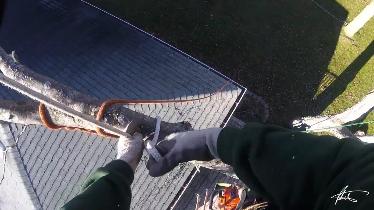 Spider Leg: Basic Setup | Arborist Rigging - YouTube