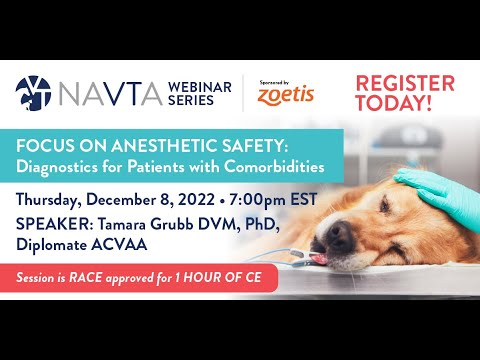 Focus on Anesthetic Safety: Diagnostics for Patients with Comorbidities