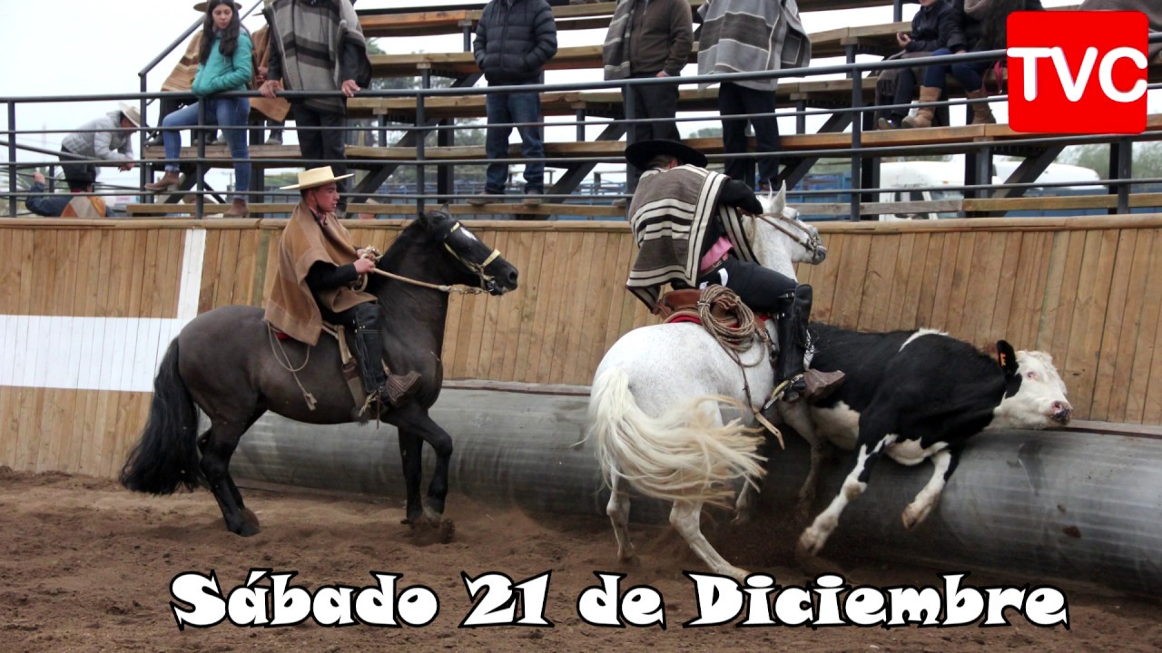 GRAN RODEO EN LAS CABRAS ESTE 21 DE DICIEMBRE - YouTube