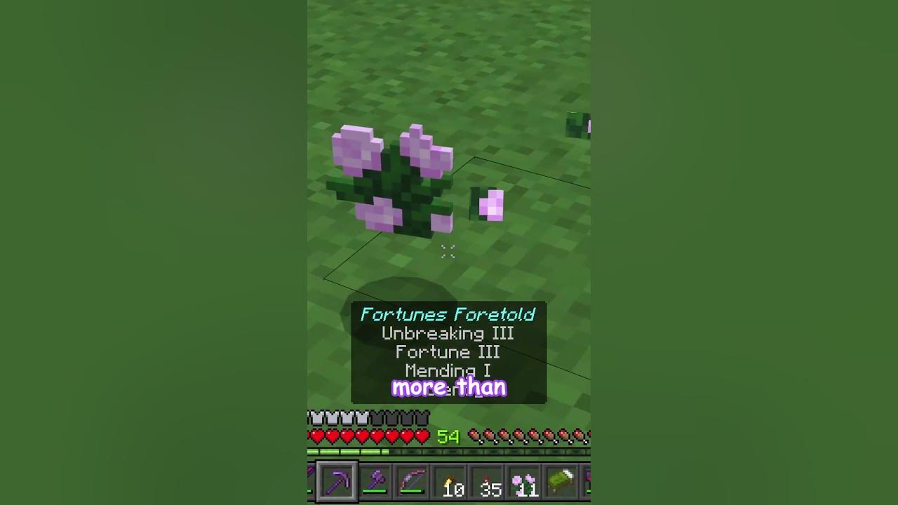 I Just Discovered the Craziest Exploit in Minecraft #shorts - YouTube