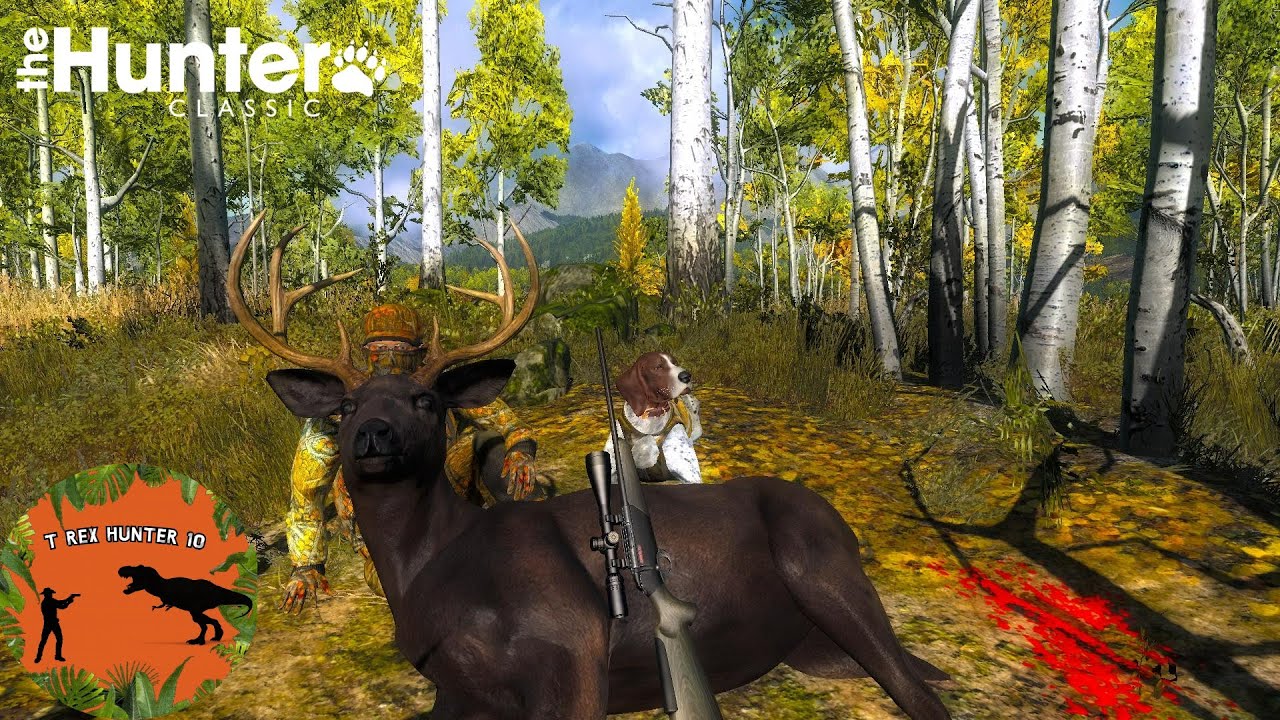 A Rocky Mountains hunt with a HUGE surprise!!! Timbergold Trails hunt ...