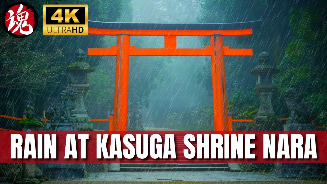Exploring Kasuga Shrine in Heavy Rain | Nara, Japan | Spirit of Japan ...
