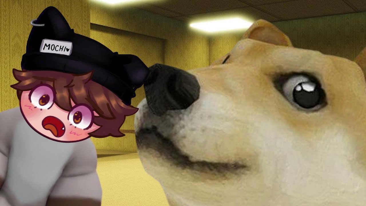 La Cabeza del Perro Doge Me persigue. | Roblox | - YouTube