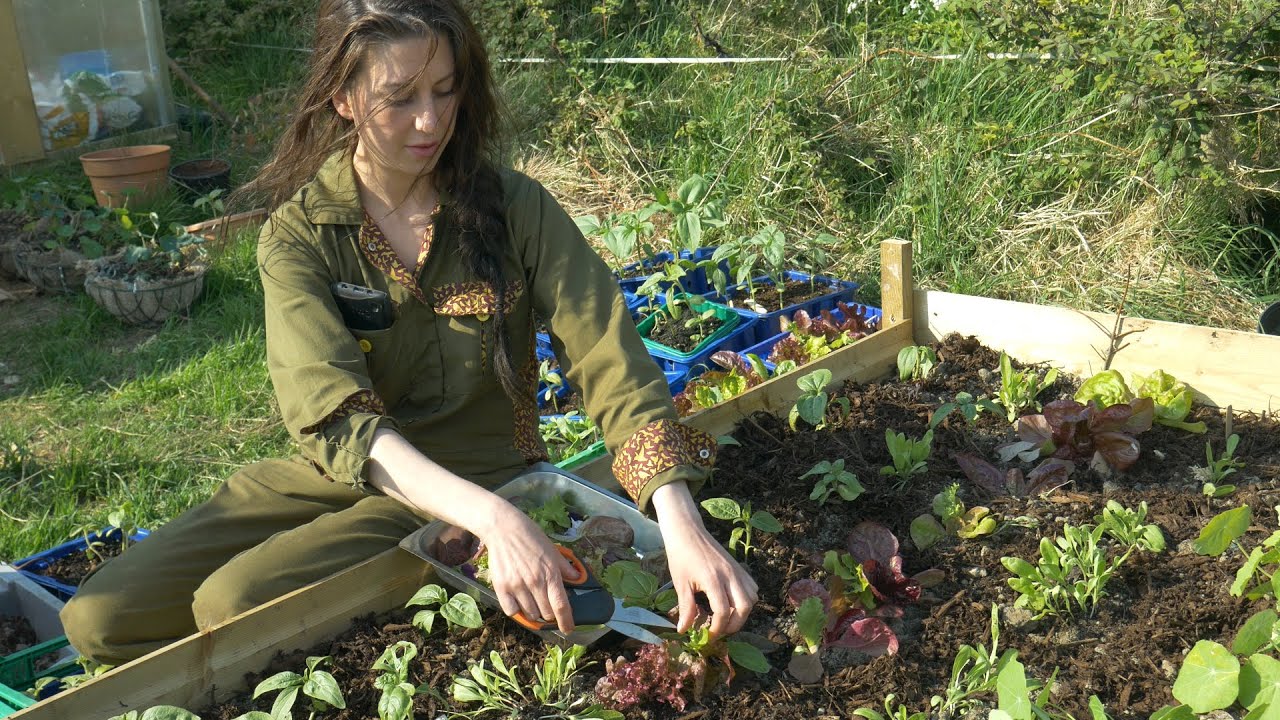 Episode 1 The Honesty Box - YouTube