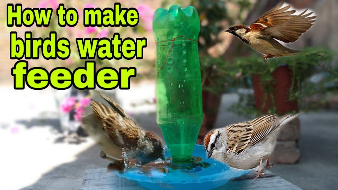 How to make bird water feeder || DIY Home made plastic bottle bird ...