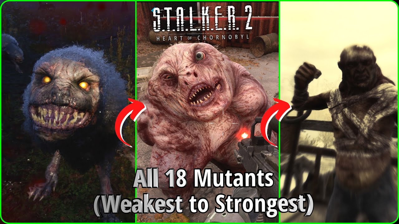 All 18 Mutants in STALKER 2 (Weakest to Strongest) - YouTube