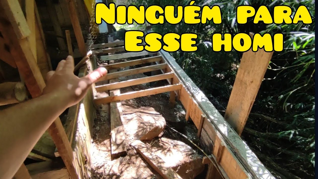 Mais Um Passo Importante No Criatório De Aves Pombas King Baia De ...