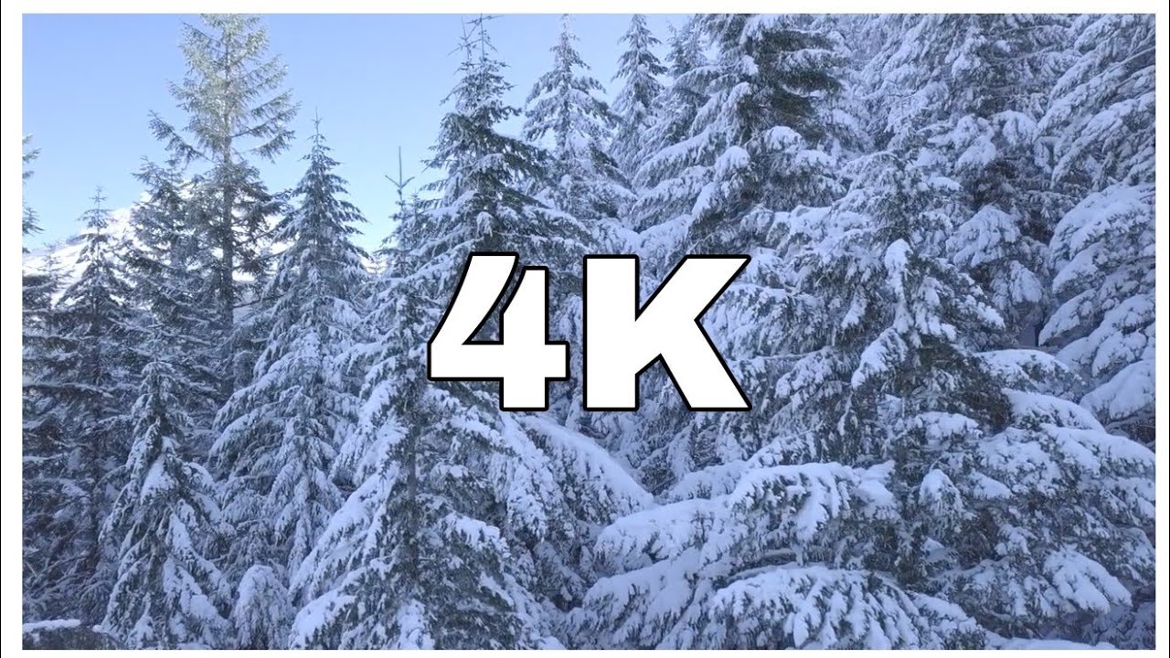 Snowfall 4K No Copyright Video | Free Snowing 4K Video - YouTube