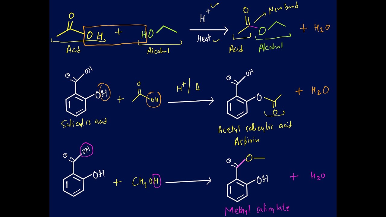 Synthesis and hydrolysis of Esters. Reversible reaction. Fischer ...